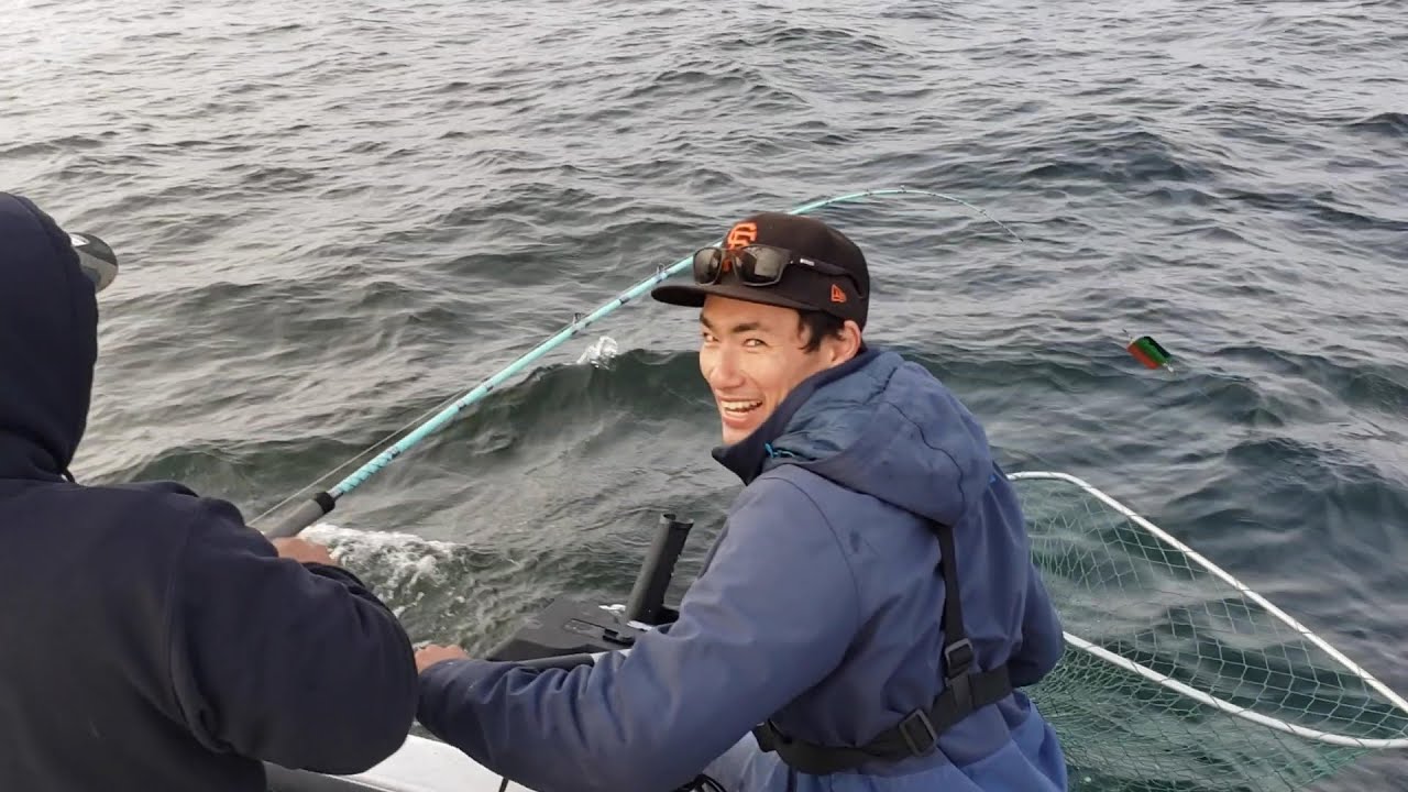 The BEST EATING FISH in the World (in my opinion) - YouTube