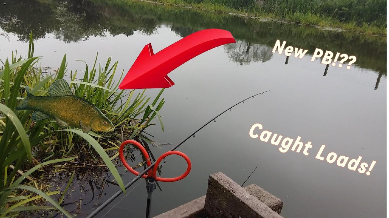 Are the Rumours Of 10lb Tench In This Canal True? New PB!! - Part 1 ...
