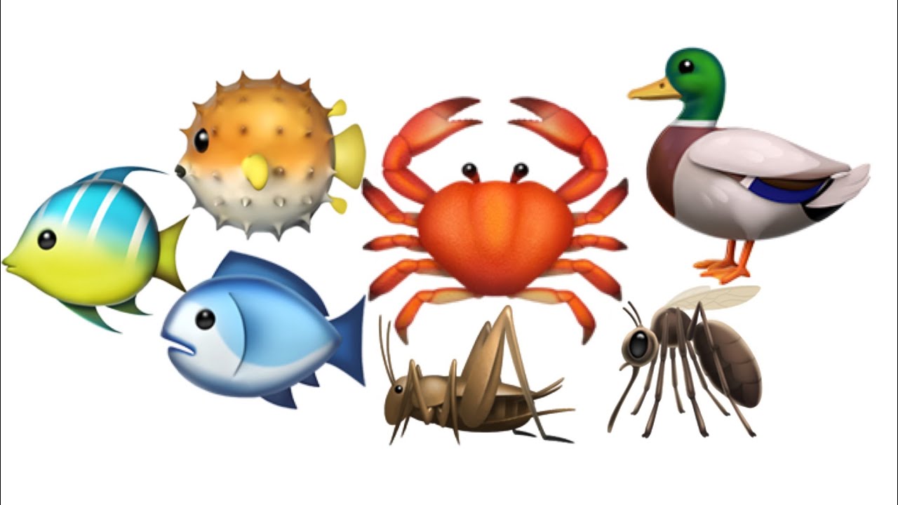 || ANIMAL SOUNDS || CRAB, FISH, HERB, DUCK, MOSQUITOES - YouTube