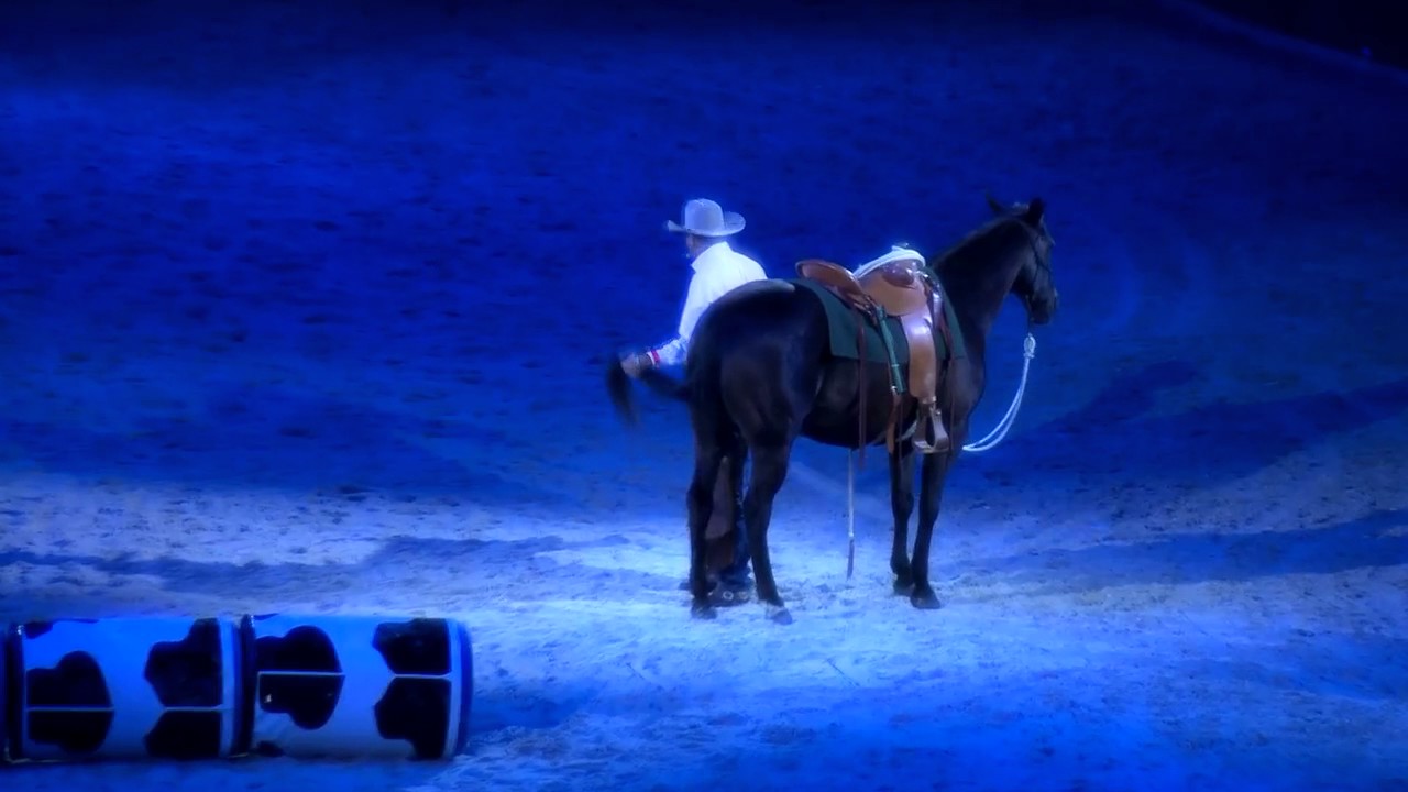 Pat Parelli live auf der EQUITANA 2017 - YouTube