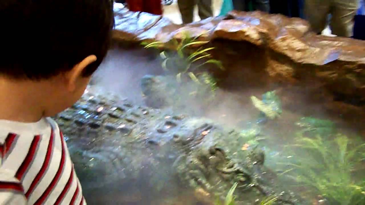 Rainforest Cafe Crocodile - YouTube