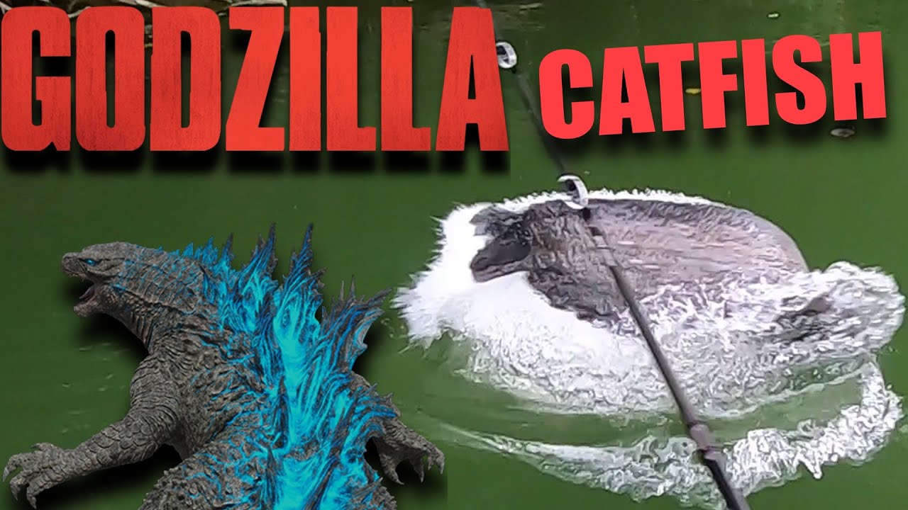 TRAILER : GODZILLA CATFISH DESTROYS MY FISHING 🐲 #fishing #fish #silure ...