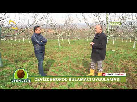 Bahar Bakımlarında Yapılması Gerekenler - Çetin Ceviz / Çiftçi TV