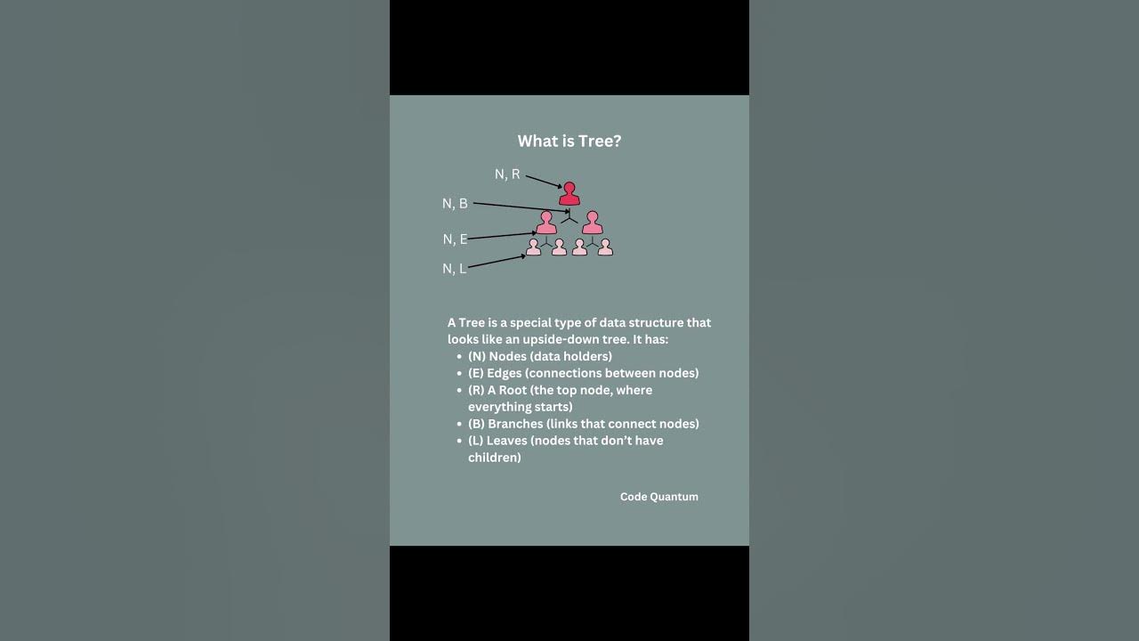 Short Introduction to Data Structure "Tree". - YouTube