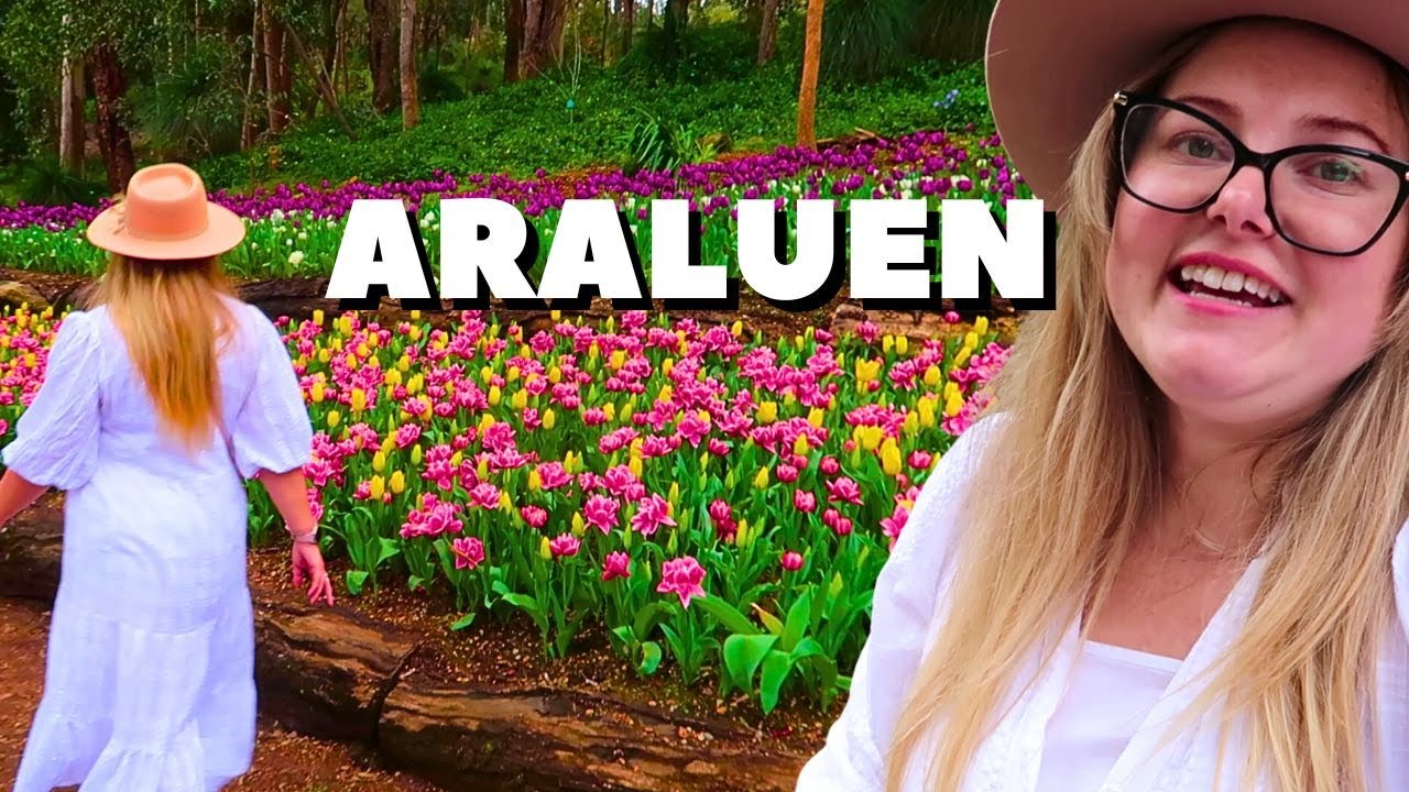 The Most Scenic Garden in Perth | Araluen Botanic Park Tulip Festival ...