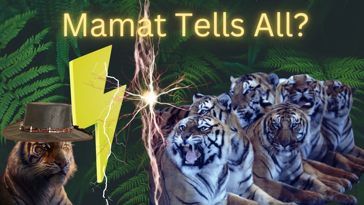 Mamat and Tigers Tell all on the King of the Jungle - YouTube
