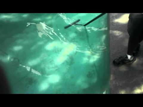 Summerdale Marcite stains - YouTube