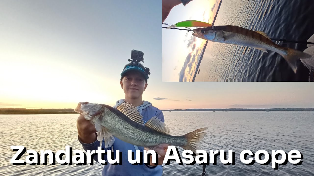 Zandartu un Asaru cope.🐟🫶 - YouTube