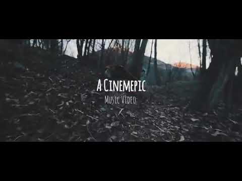 DJ EG TIGER 🐯 🐯 VS NCS - _-A CINEMEPIC(OFFICIAL VIDEO SONG) 👌🐱💯💯