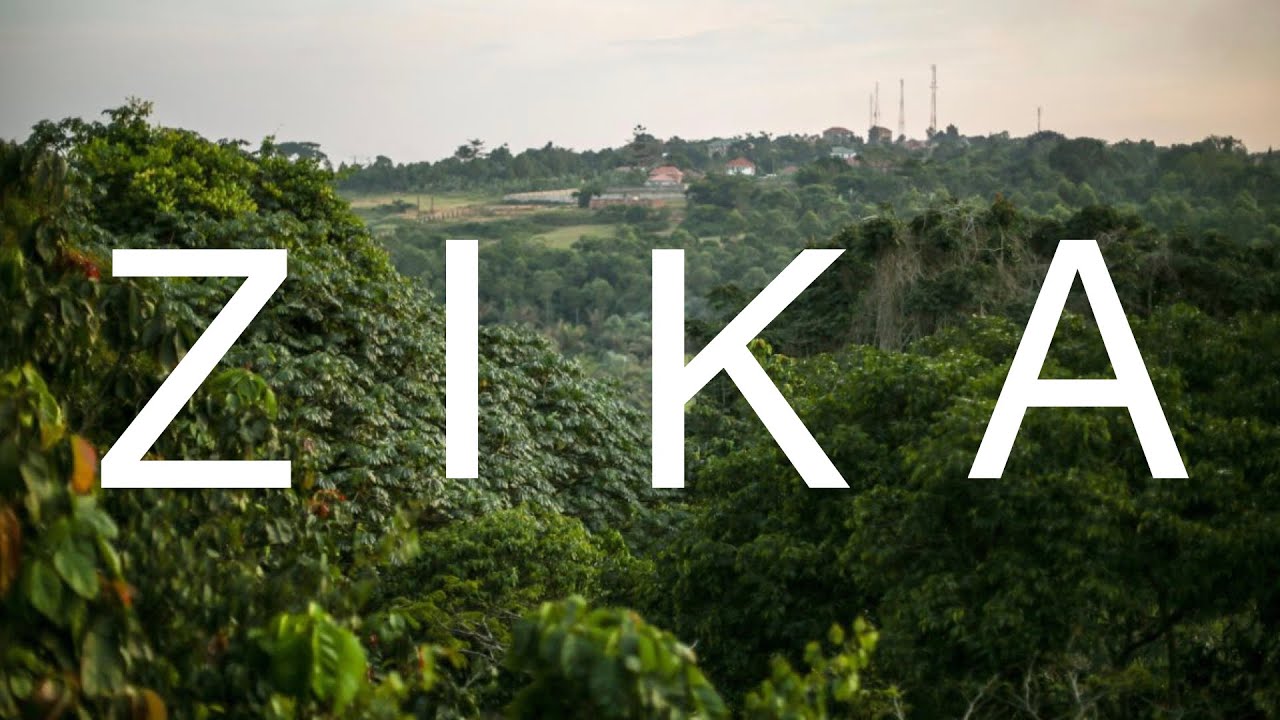 Zika Virus - From Ziika forest to the World! - YouTube