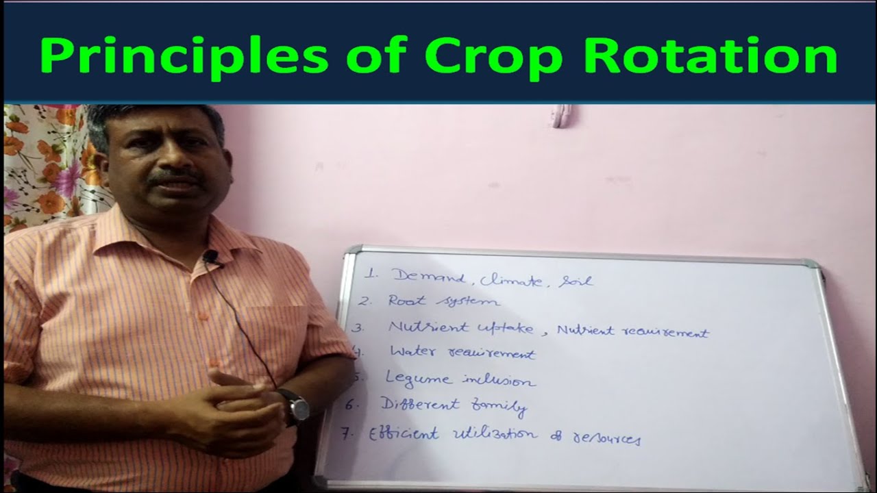 Principles of Crop Rotation - YouTube