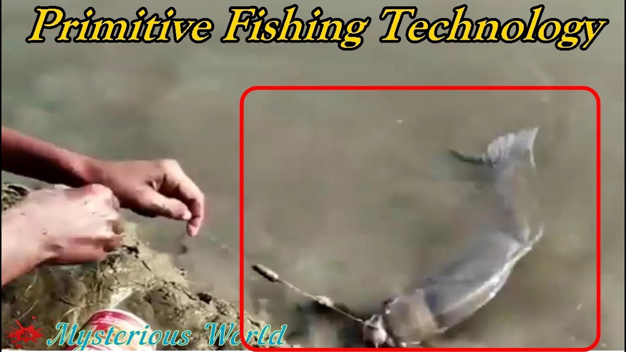 Primitive Fishing Technology: Believe This Fishing? Amazing Fish ...