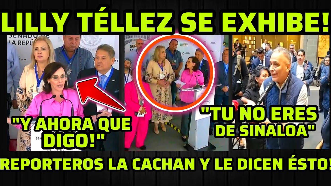 🔴OSO NACIONAL LILLY TÉLLEZ SE 'EXHIBE' De NUEVO! REPORTEROS la cachan y ...