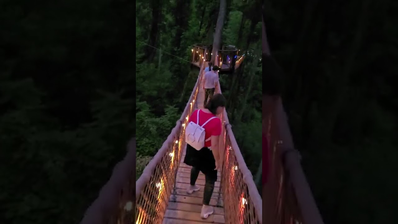 Anakeesta 🌳 tree top bridge 🌉 at night - YouTube
