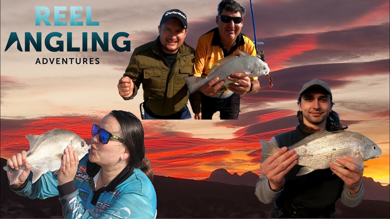 Back to Back Trips | Belmon, Galjoen and more.... - YouTube