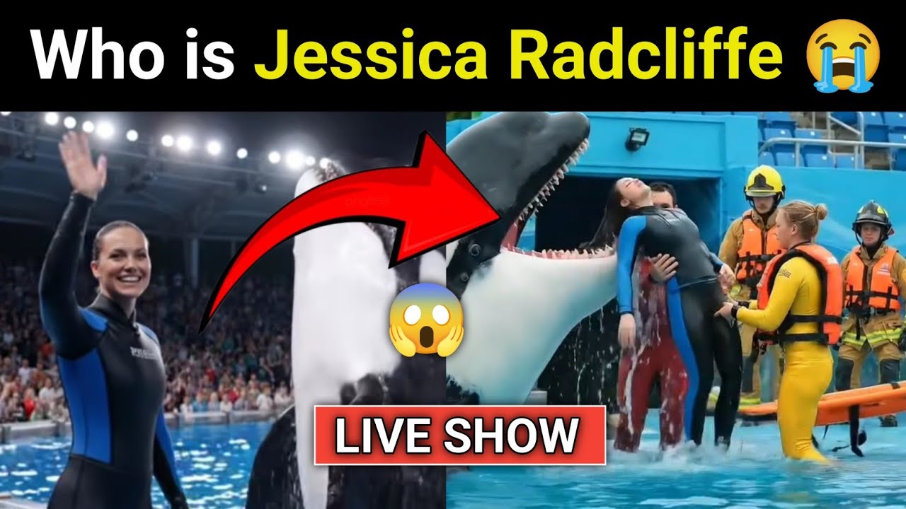 Who is Jessica Radcliffe? 😱 Deadly Dolphin Attack in Live Show! - YouTube