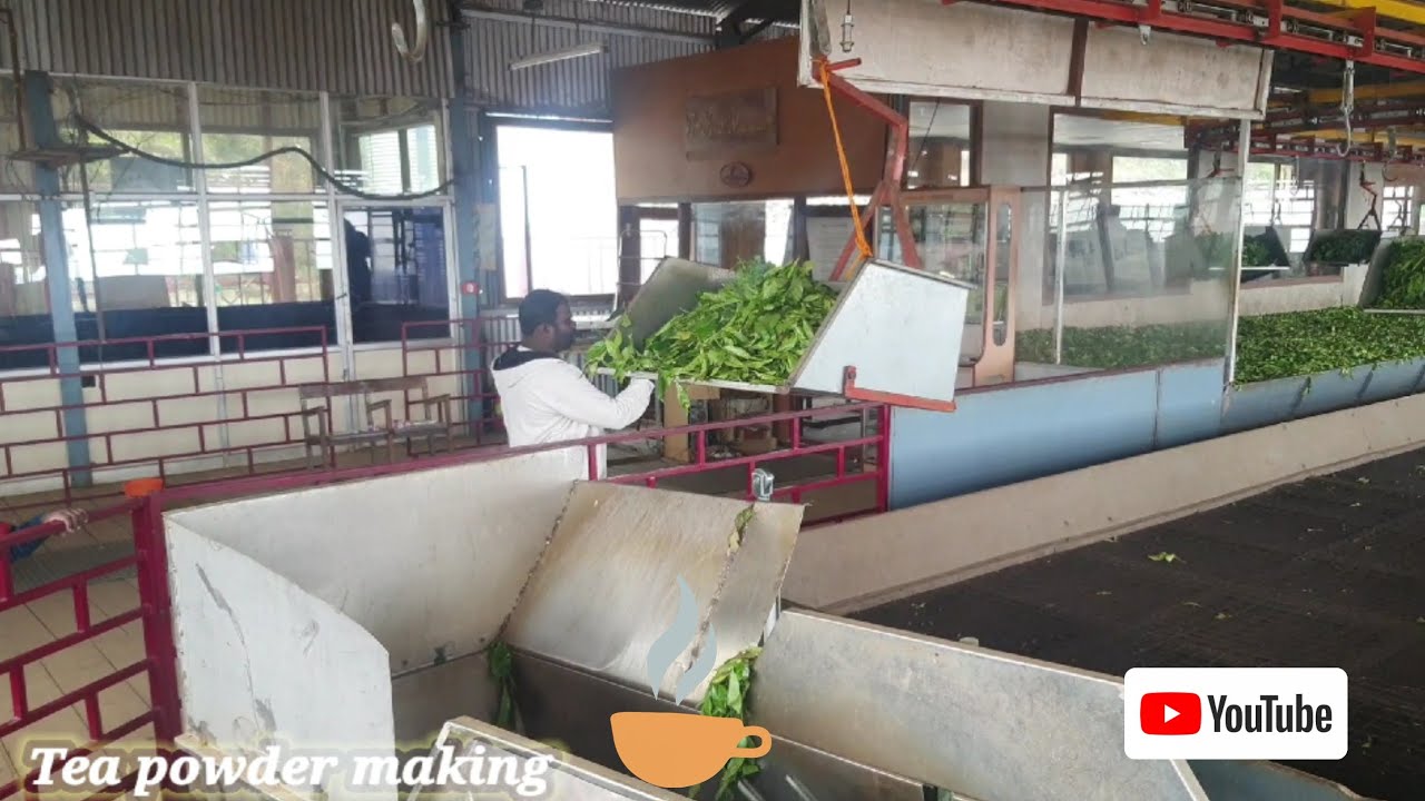 Tea powder making at ooty tea factory #love #trending #viral - YouTube