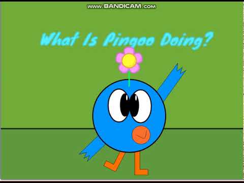 What Is Pingoo Doing? Intro - YouTube