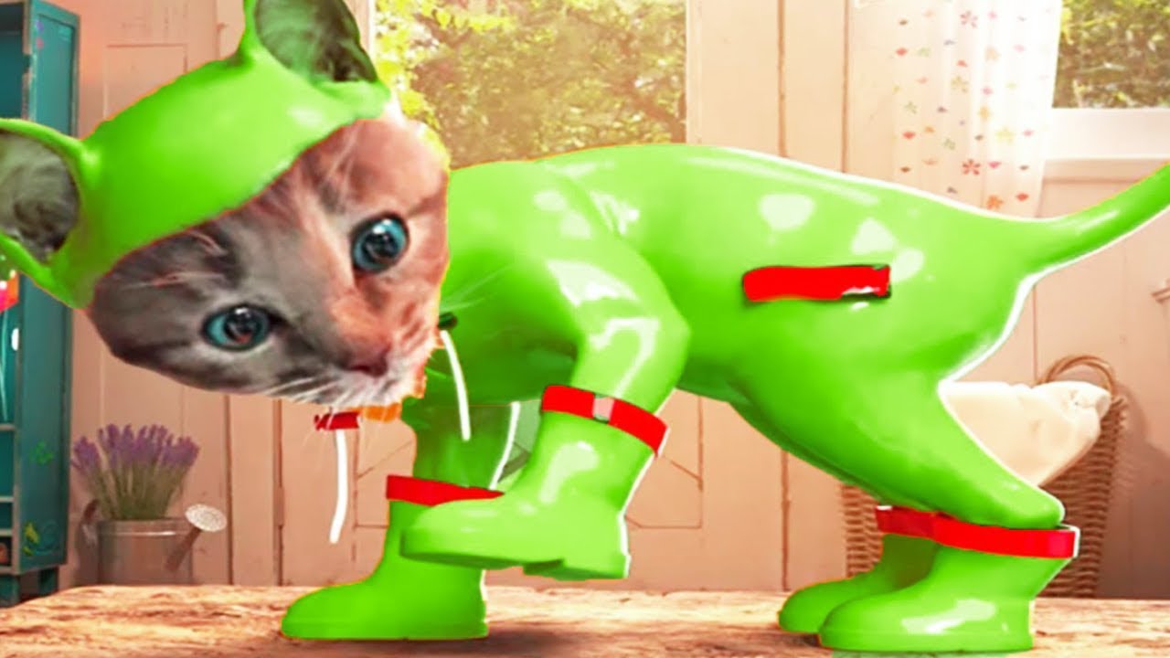 Play Fun Pet Care Kids Games Little Kitten Adventure Fun Pet play-fun-pet-care-kids-games-little-kitten-adventure-fun-pet