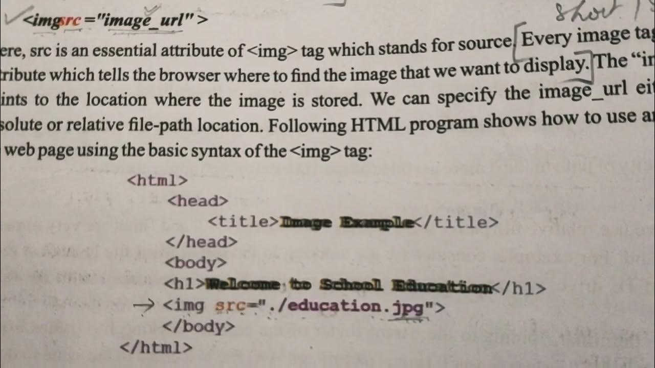 class 10th, computer, chapter 4, html part 3, first part - YouTube