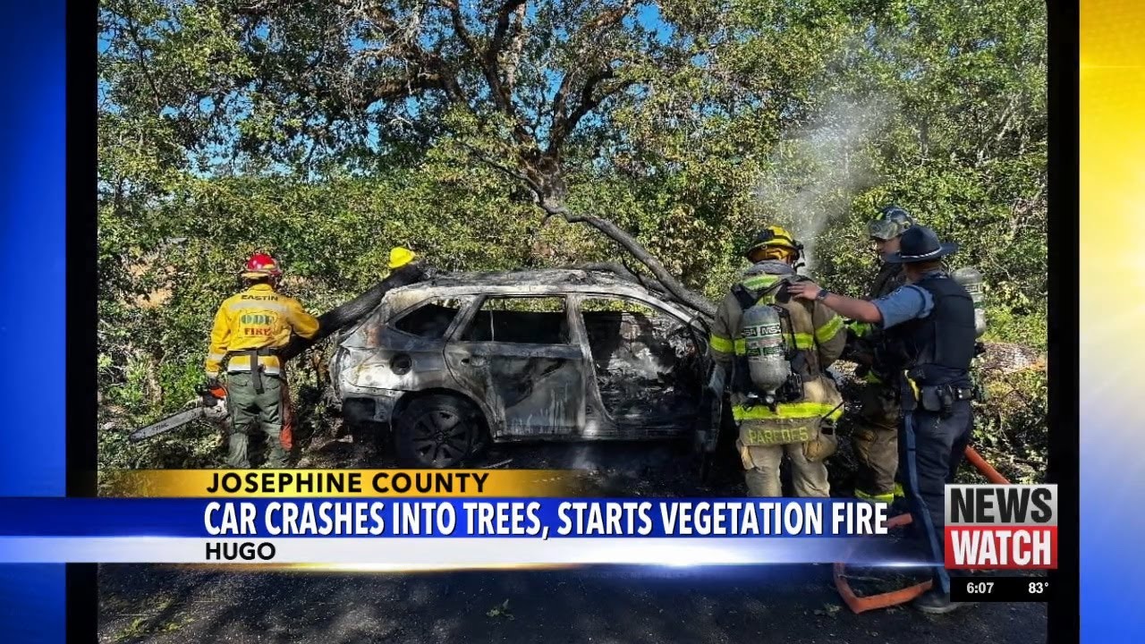 Car crashes into trees, starts vegetation fire - YouTube