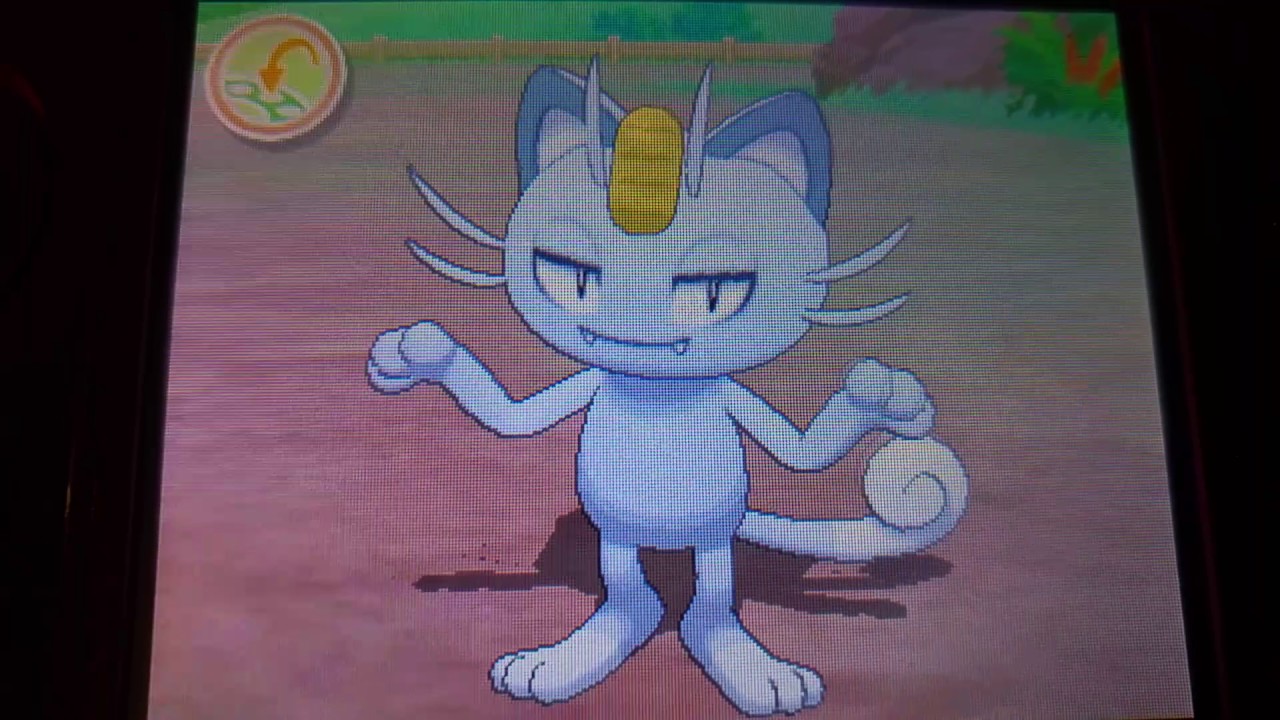 Pokémon Refresh: Alolan Meowth + sleeping - YouTube