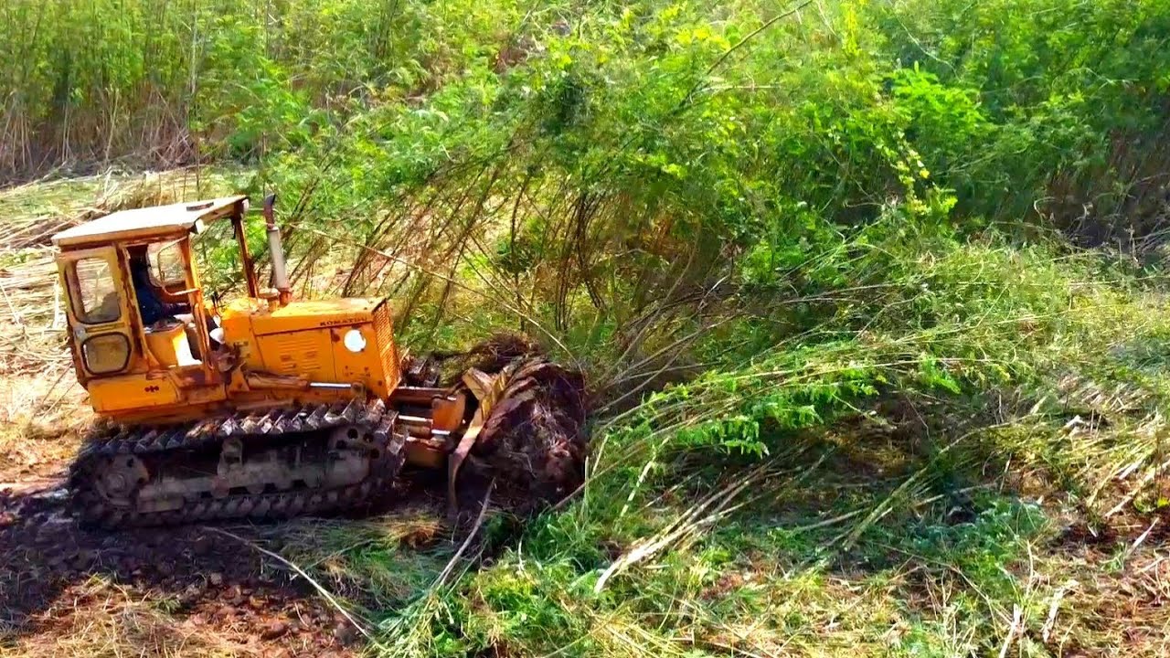 Excellent Techniques operator bulldozer Mini pushing Cleaning Forest ...
