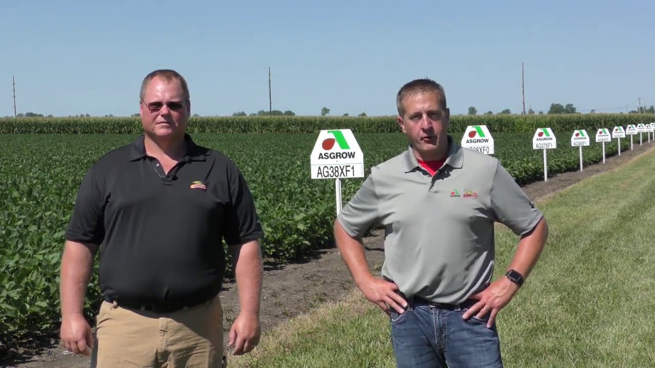 Xtend Flex Soybean Summary - YouTube