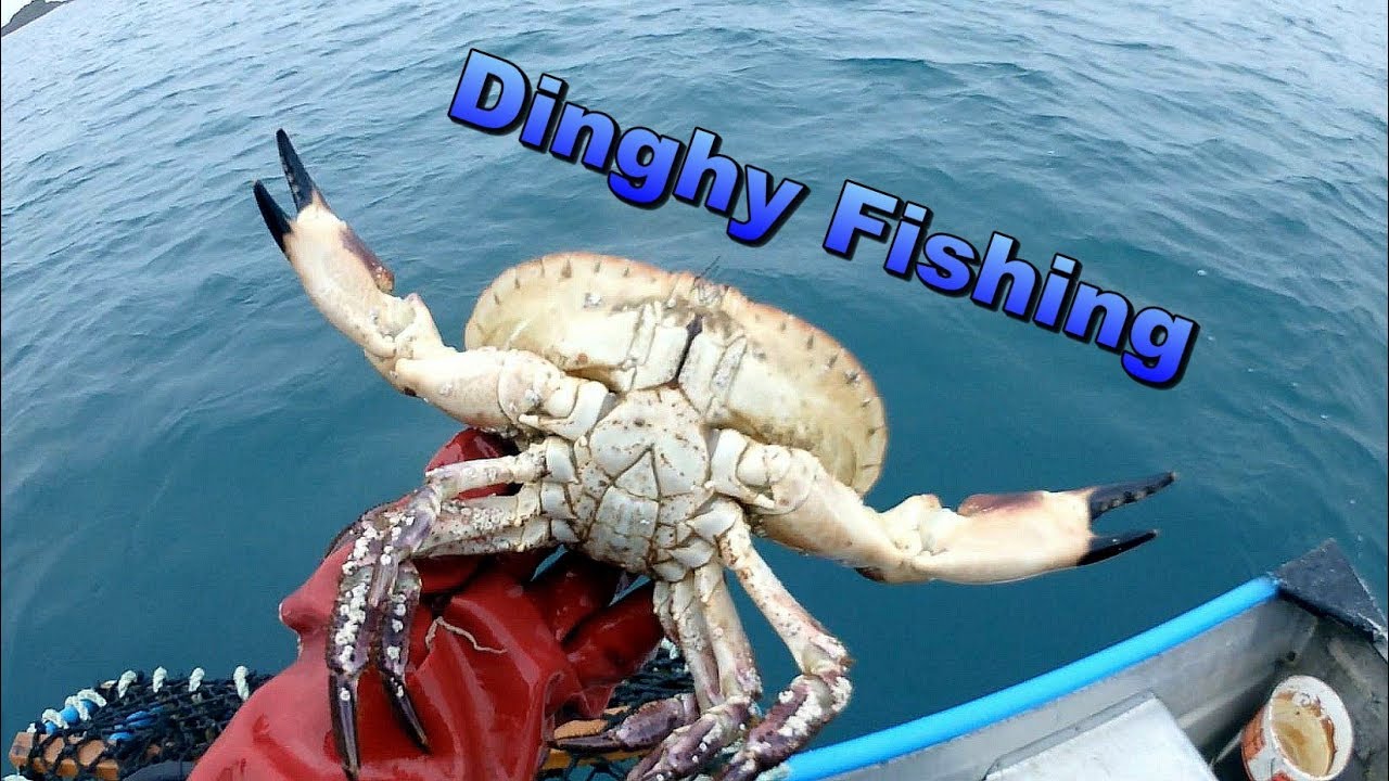 Dinghy Fishing - Crab Lobster Garfish Pollock - YouTube