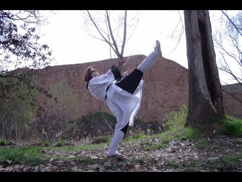 Tradicional Kung Fu / 螳螂拳 / Tang Lang Chuan /7 Star Mantis. - YouTube