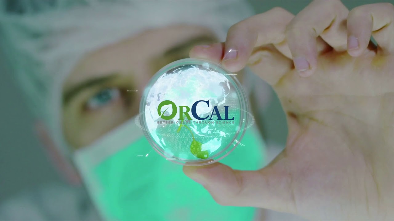 ORCAL - Who We Are - YouTube