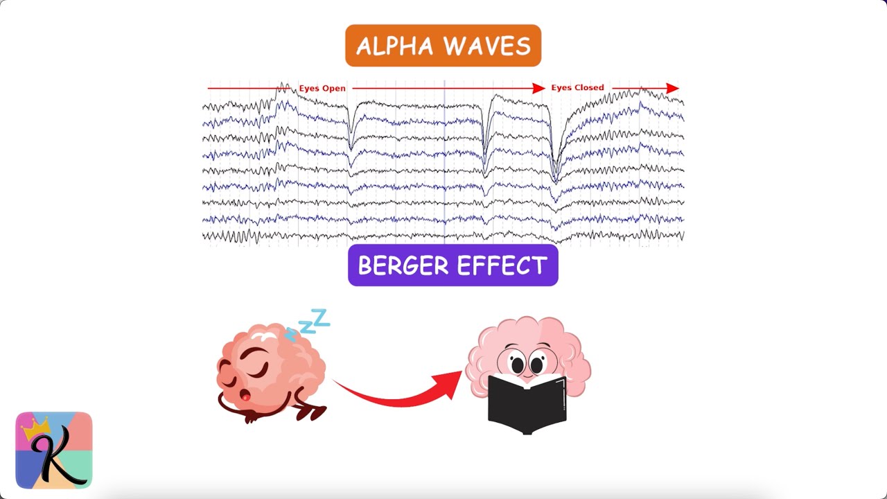 Brain Waves - YouTube