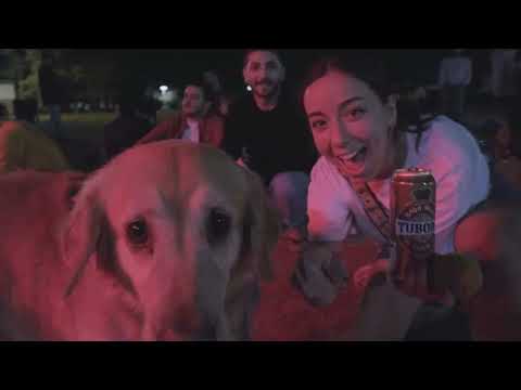 ArtMeet 2023, 1-5 Kasım / November, Alsancak, İzmir