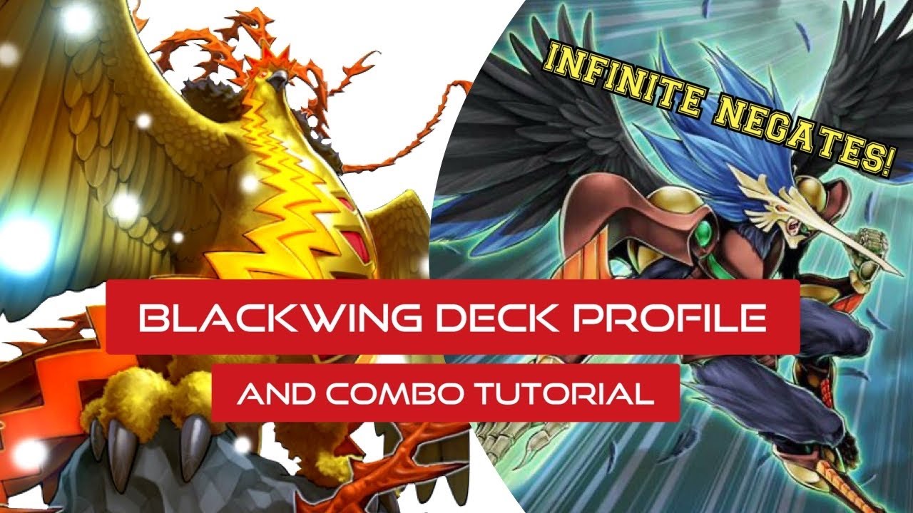 Yugioh! Blackwing Deck Profile and Combo! Infinite negates in 2020 ...