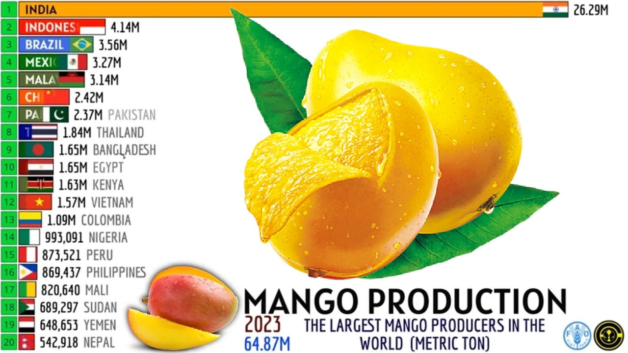 THE LARGEST MANGO PRODUCERS IN THE WORLD - YouTube