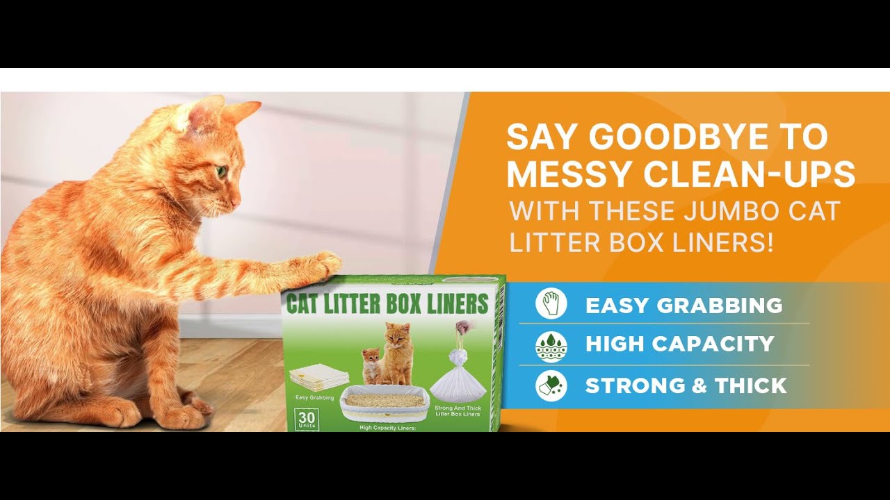 2025 Ultimate Guide: How to Use Simply Seniors Jumbo Cat Litter Box ...