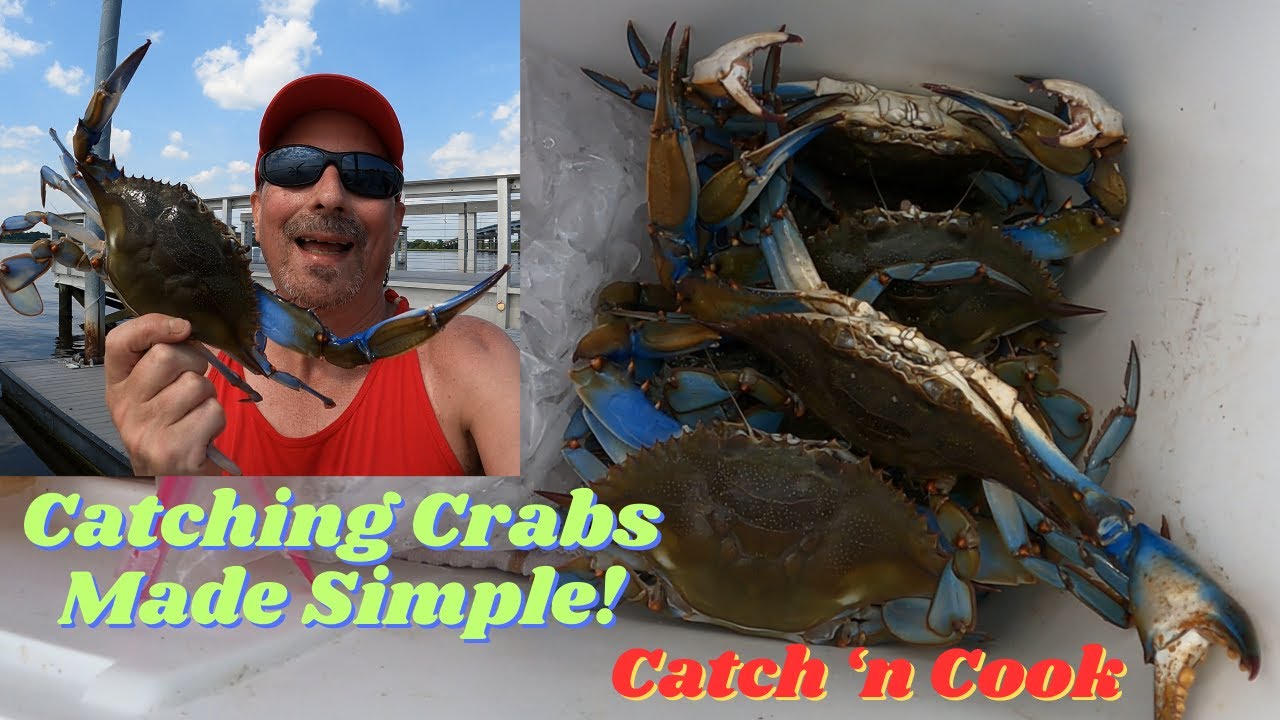 Epic Crab Catching Techniques for Beginners - YouTube