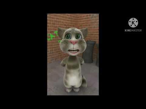 tom cat dance is sonic
