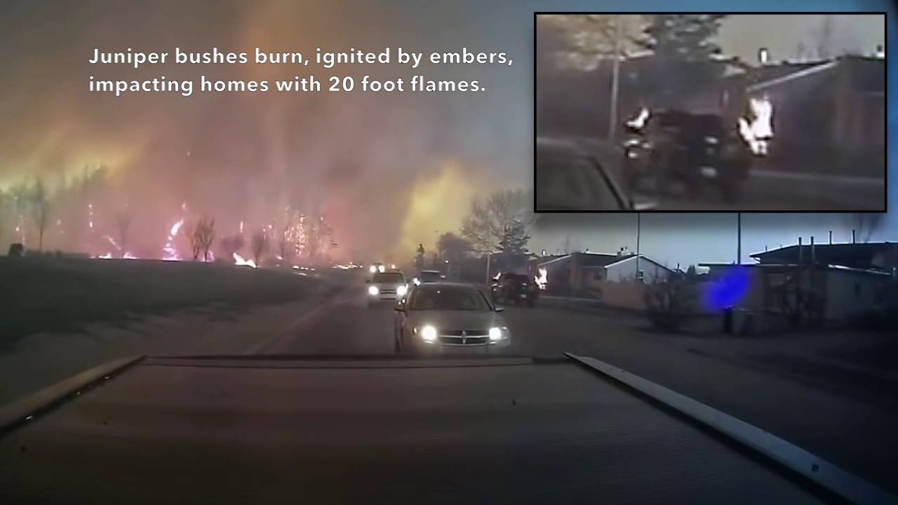 Burning Juniper - YouTube