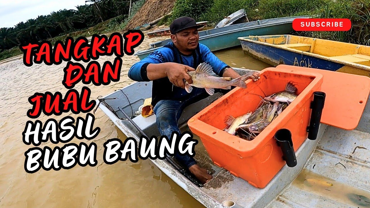 TANGKAP DAN JUAL HASIL BUBU BAUNG #vlog116 #unlimitedhobby # ...