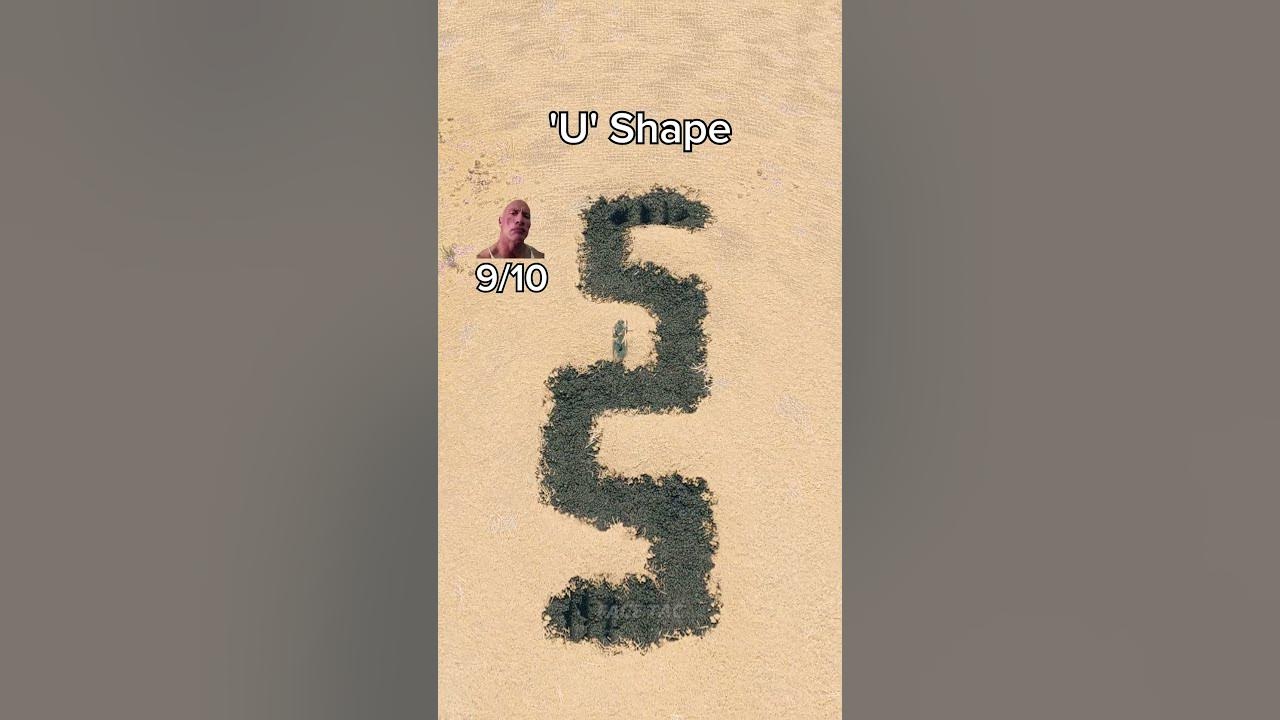 How To Dig Trenches #Shorts - YouTube