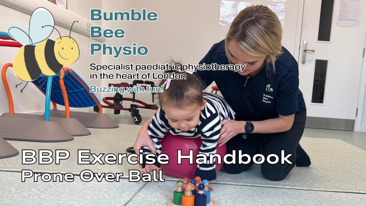 BBP Exercise Handbook - Prone Over Ball - YouTube