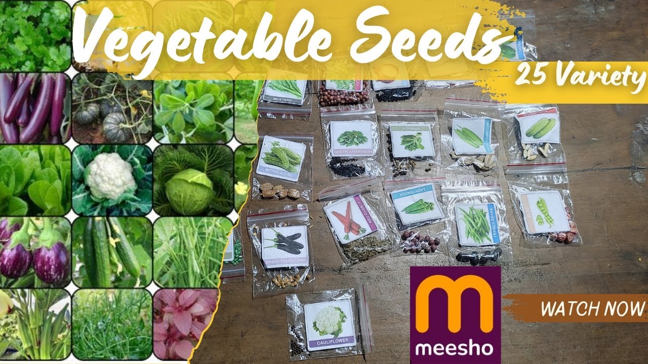 25 Variety Vegetables Seeds for Meesho just Rs.107/- - YouTube