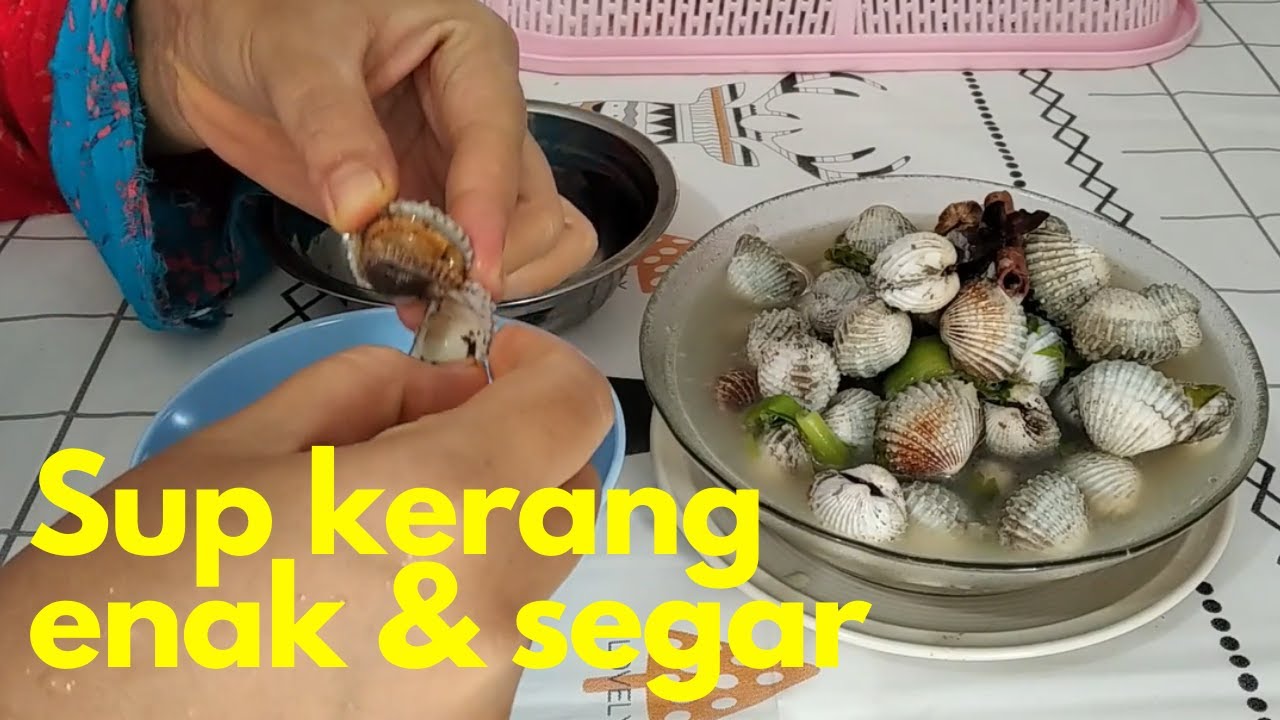 RESEP SUP KERANG YANG SEGAR DAN ENAK - YouTube