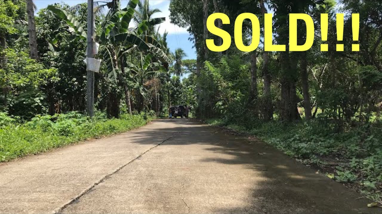 Vlog340: 1.4 HECTARE LANZONES & CITRUS FARM FOR SALE IN LIPA CITY ...