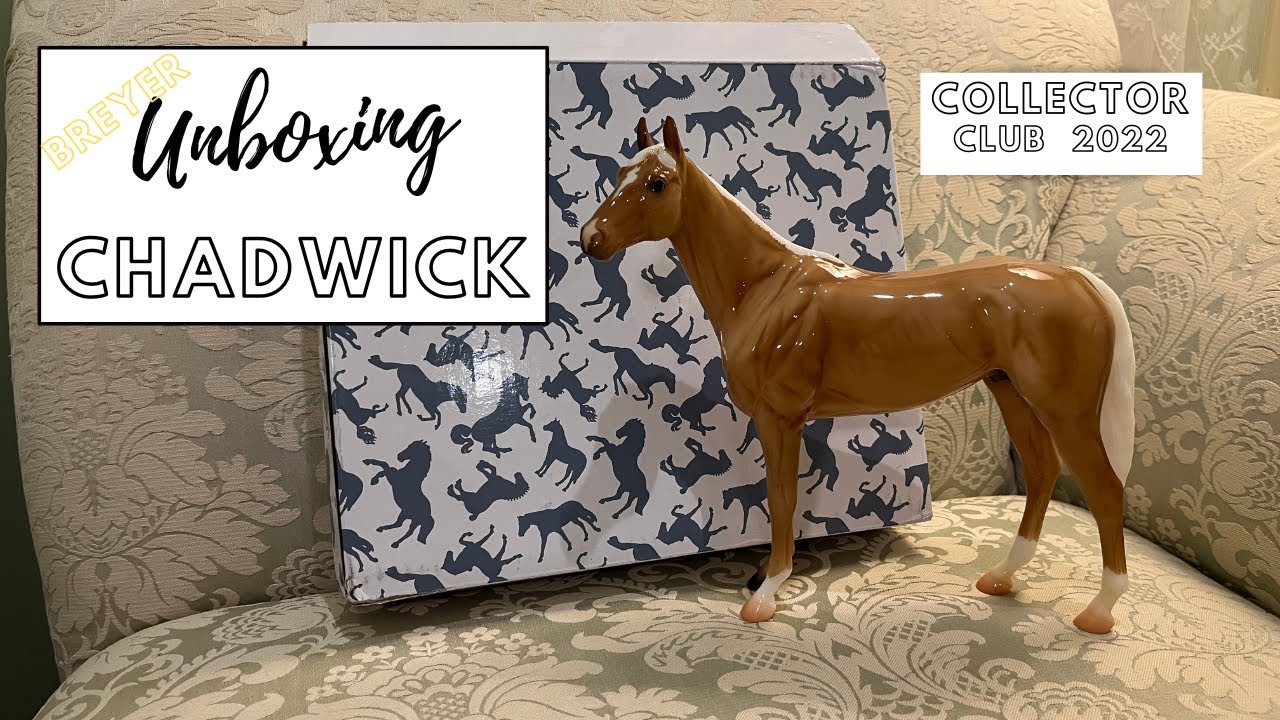Breyer Unboxing | Chadwick | Collector Club Model | 2022 - YouTube
