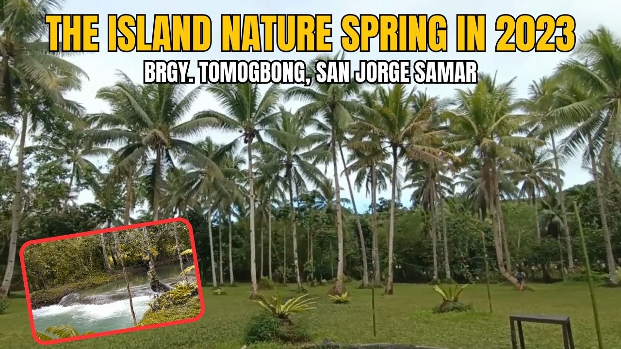 The Island Nature Spring in 2023 - YouTube