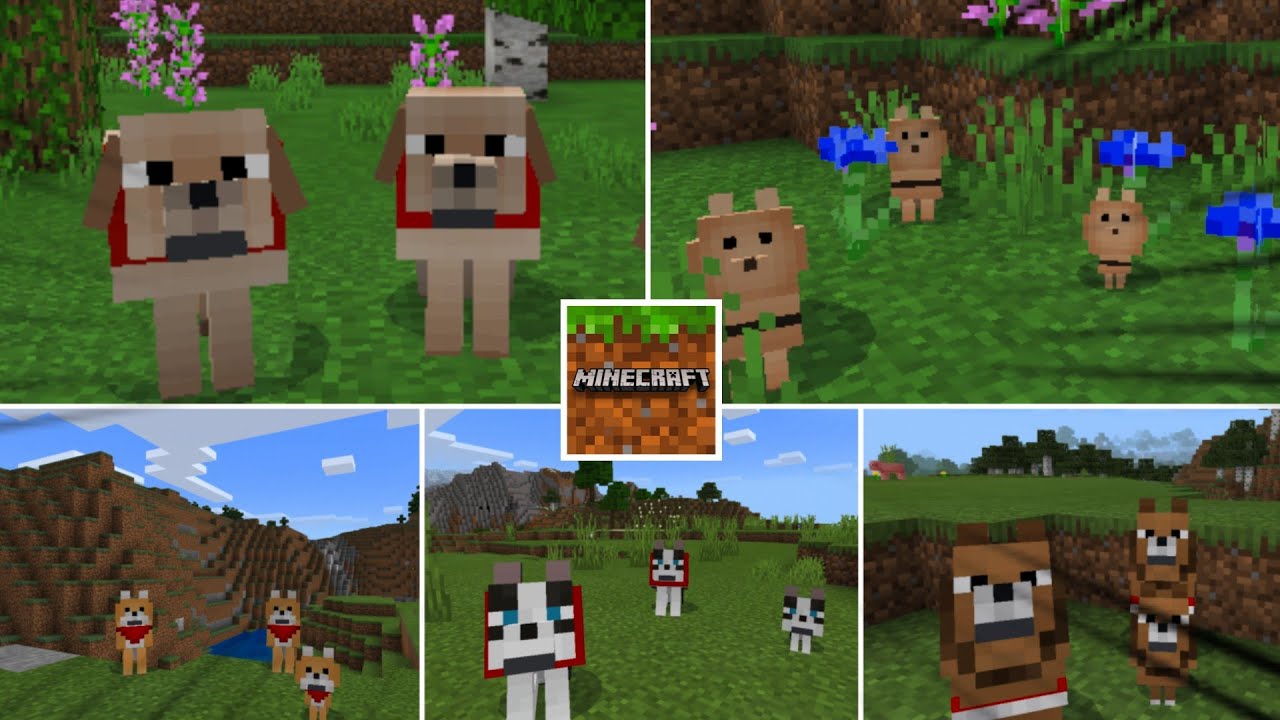 SAIU!! COMO TER NOVOS CACHORROS DOMÁVEIS NO SEU MINECRAFT PE 1.12.0.4 ...