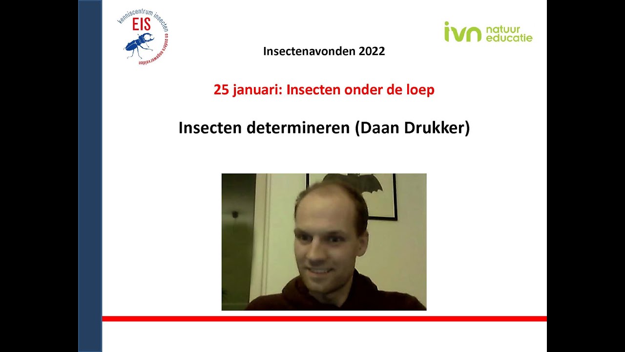 Insecten onder de loep: Insecten determineren door Daan Drukker - YouTube