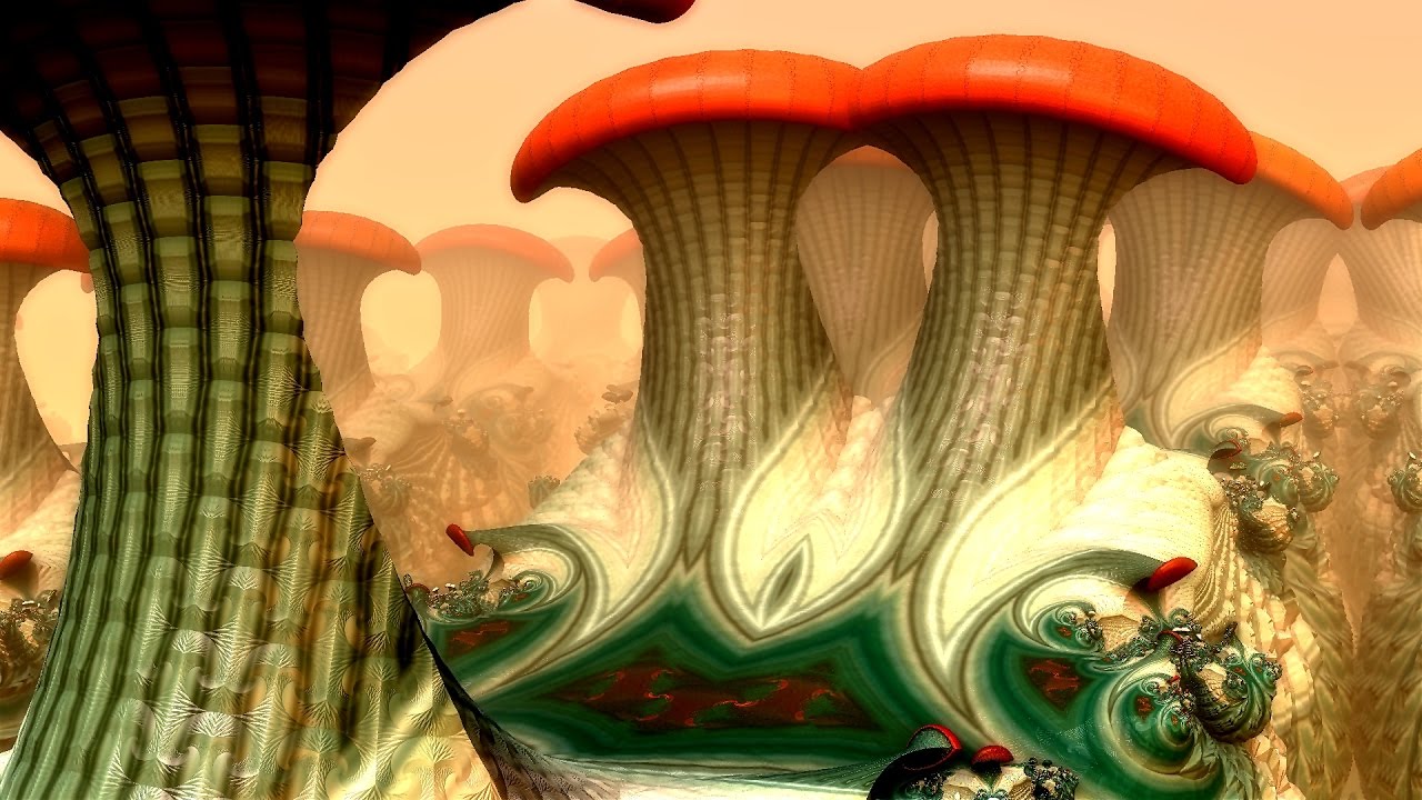 The Luminosity of Shrooms - YouTube